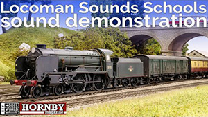 DCC Sound Chip V Schools Class ESU – DCC Sound Decoders